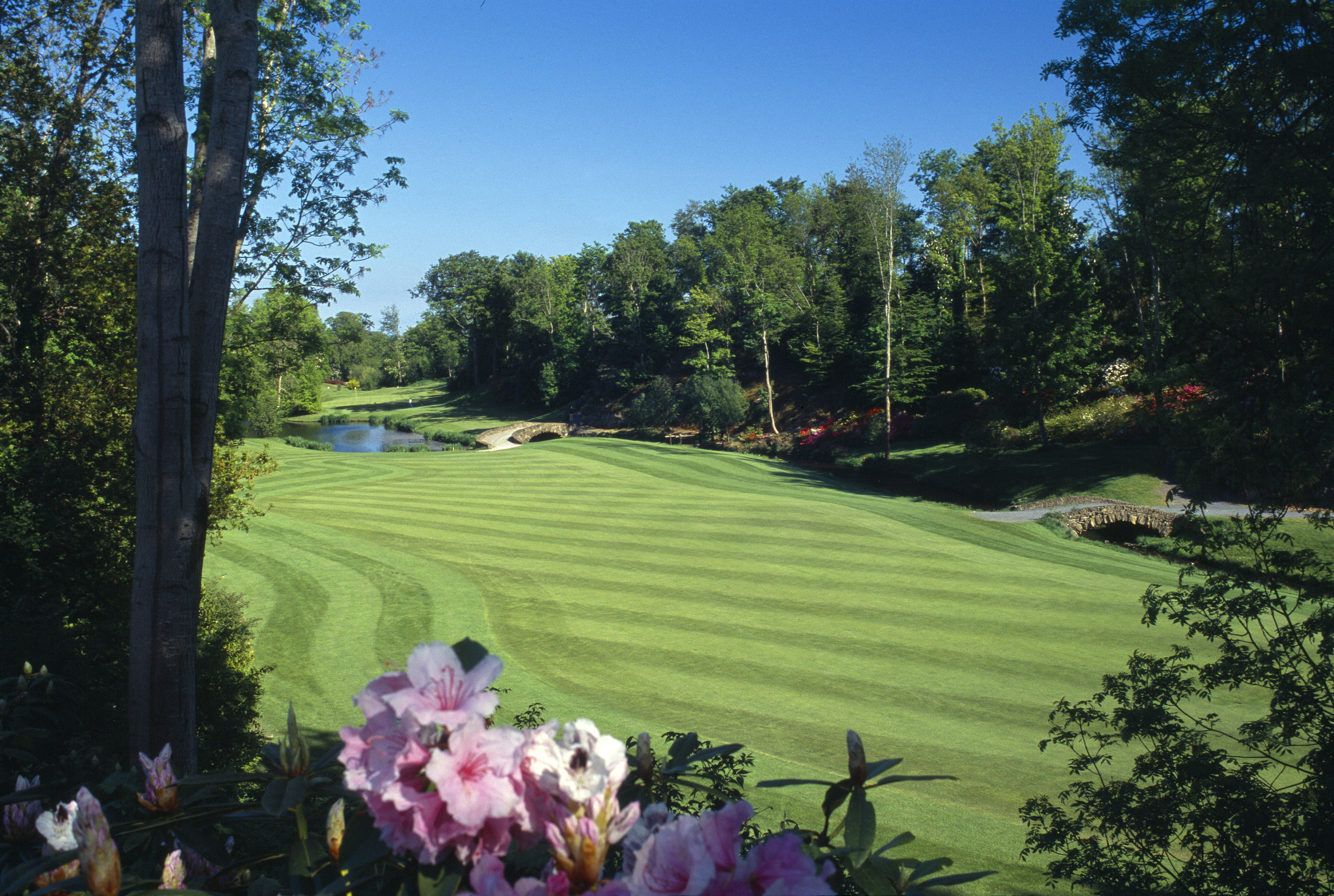 Druids Glen Golf Club | SWING Golf Ireland