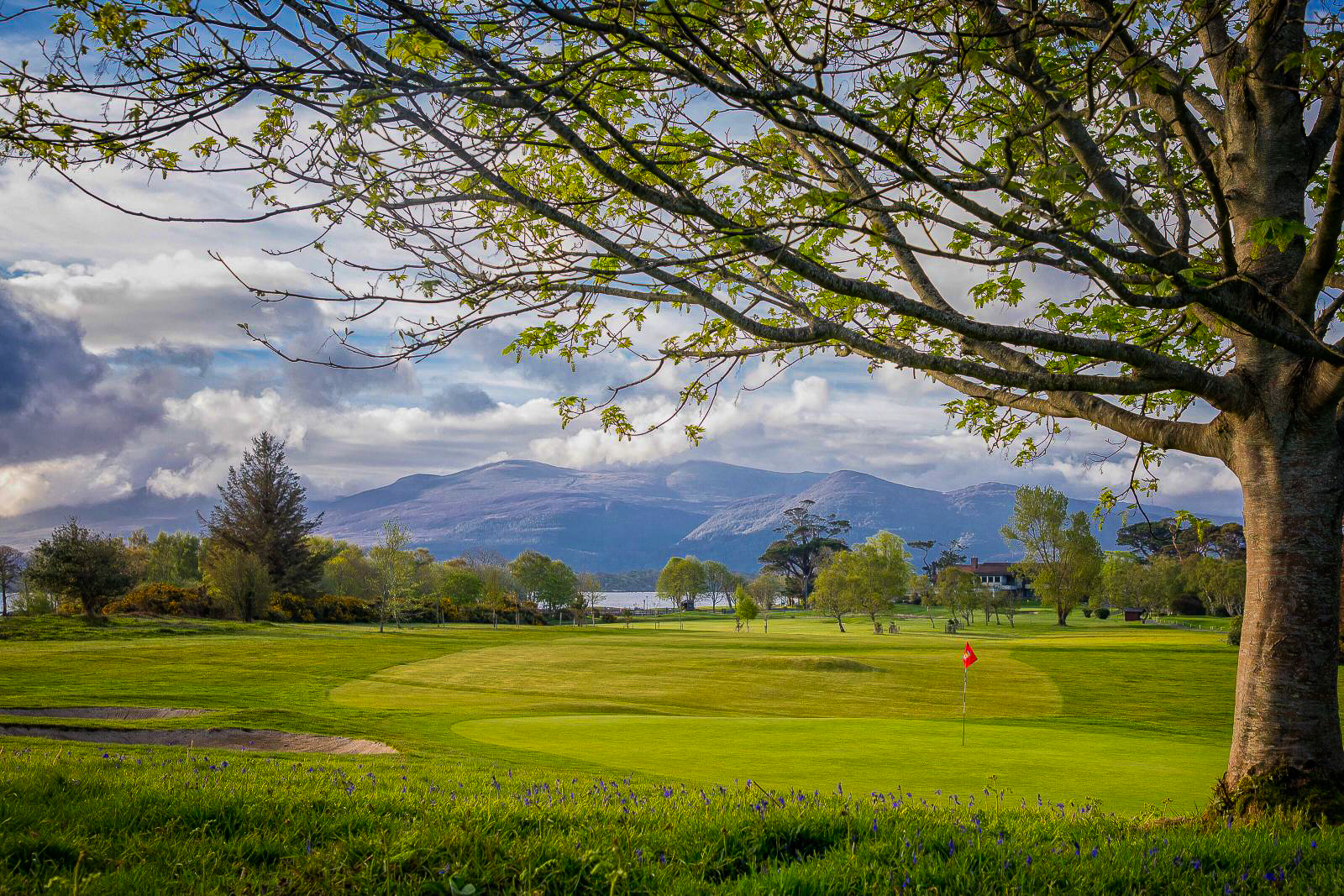 Killarney Mahony's Point Course | SWING Golf Ireland